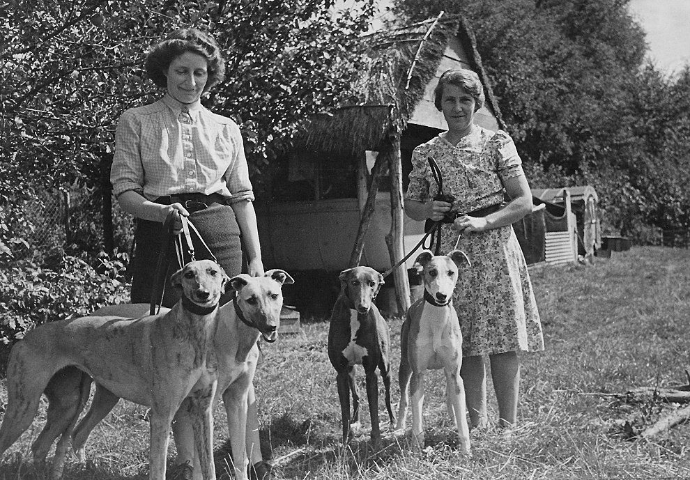 Kathleen-and-Margaret-with-greyhounds—trolley-bus-behind-with-straw ...